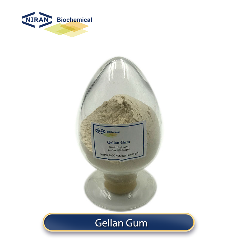Gellan Gum
