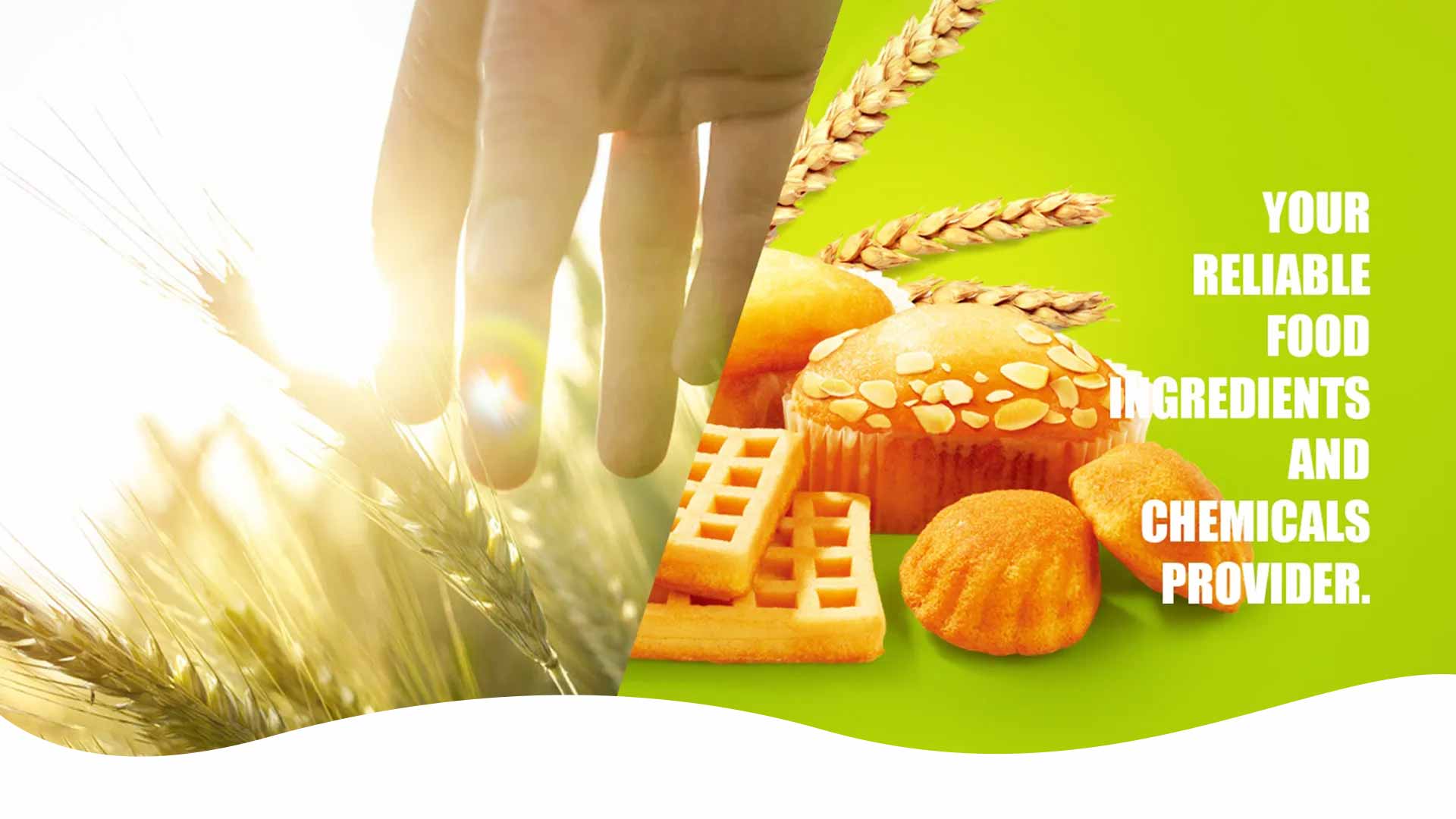 Leading Food Additives Manufacturer, Food Ingredients Supplier of China ...