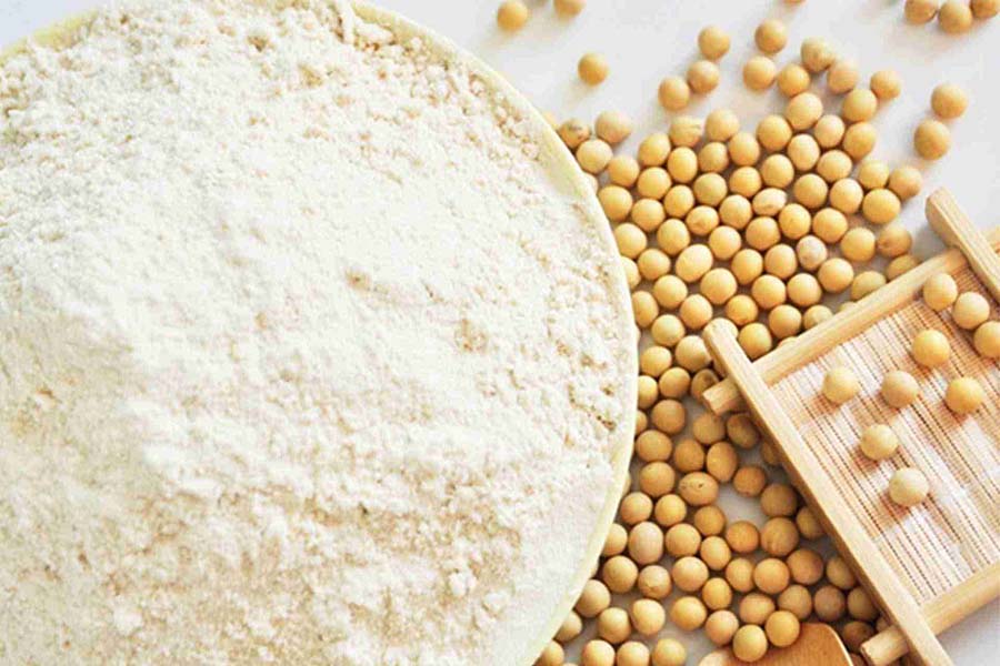 Learn All About Soy Protein Isolate (Injection Type), Soy Protein ...